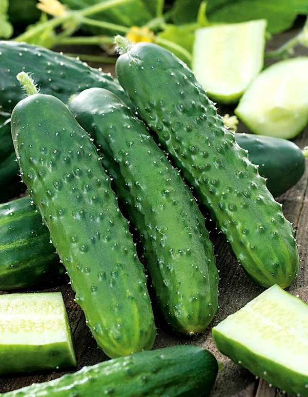 Seminte Castraveti - Seminte1