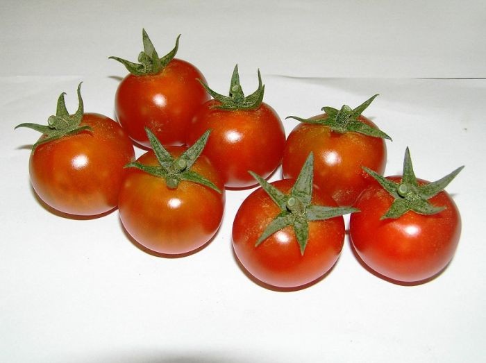 Shiren F1 (100 seminte) rosii tip ''cireasa'' cherry, aspect ciorchine ...