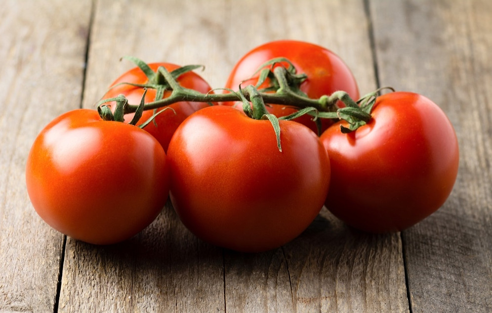 Antares F1 (30 seminte) tomate de camp extrem de rezistente, soi ...