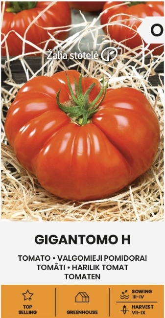 Gigantomo F1 (10 seminte) rosii mari pana la 1 kg tip Beefsteak ...