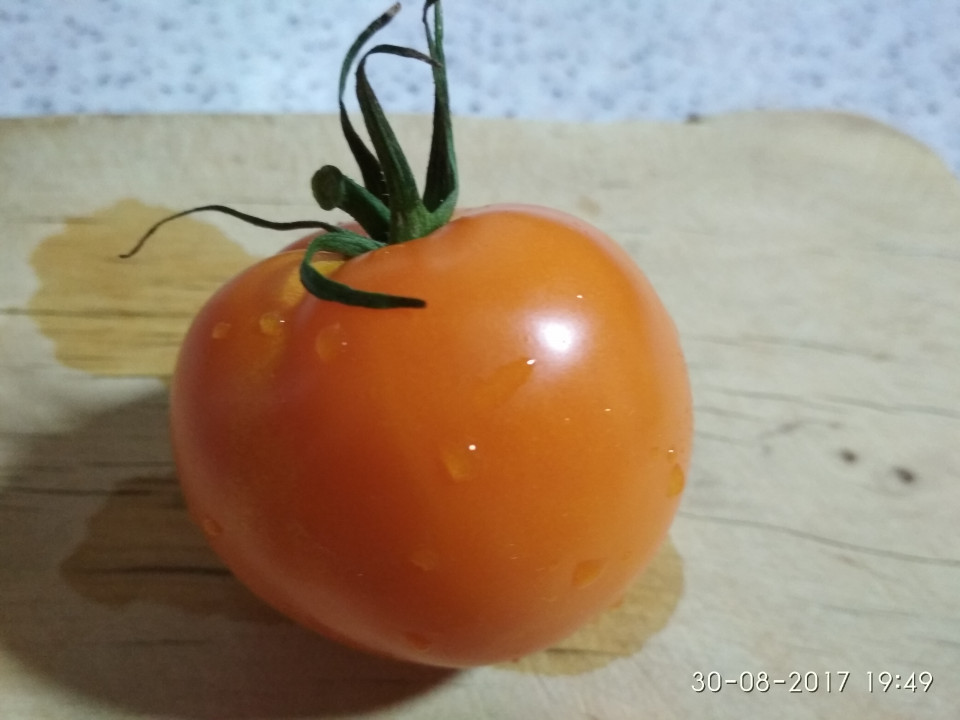 Kelloggs Breakfast (60 seminte) rosii portocalii de culoarea mandarinei ...