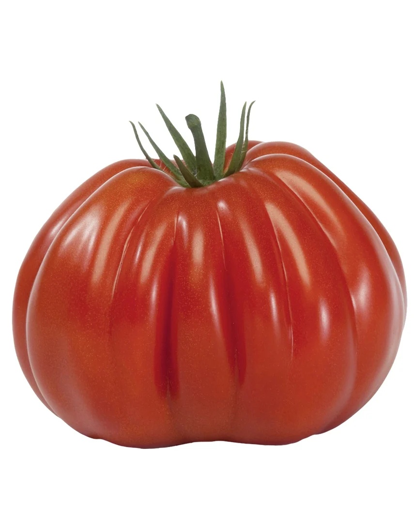 Seminte Rosii - Seminte1