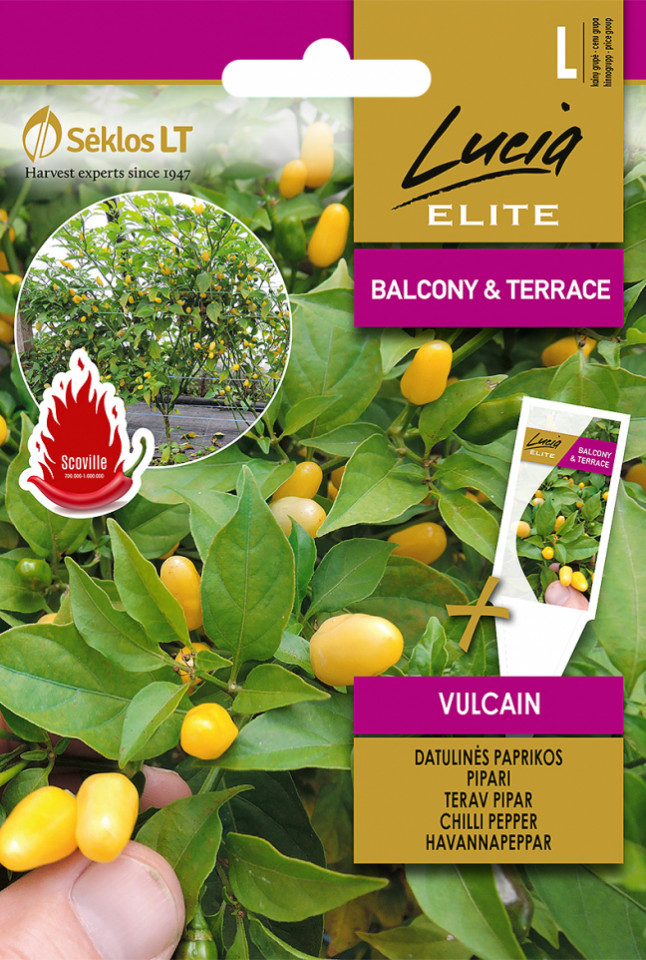 Seminte Ardei Iuti - Seminte1