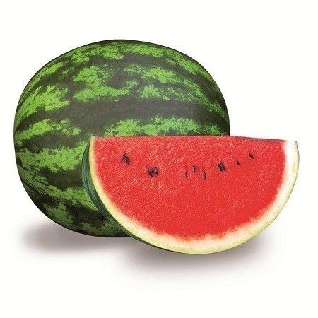 Oneida F1 (1000 seminte) pepene verde extratimpuriu pentru camp tip ...