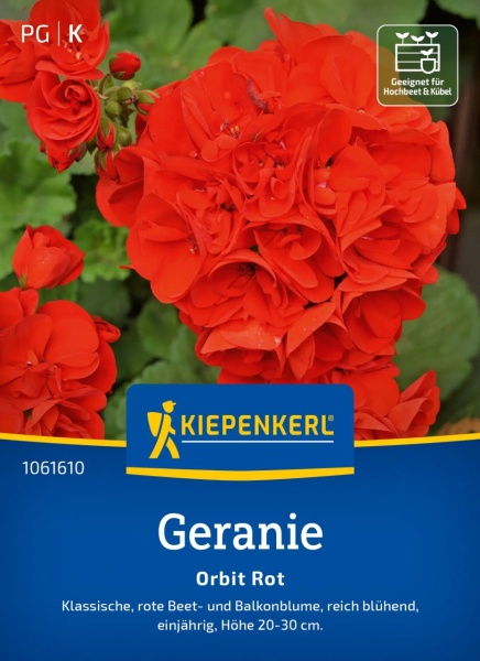 Orbit Rot F1 (10 seminte) muscate cu flori mari, rosii, deosebit de ...