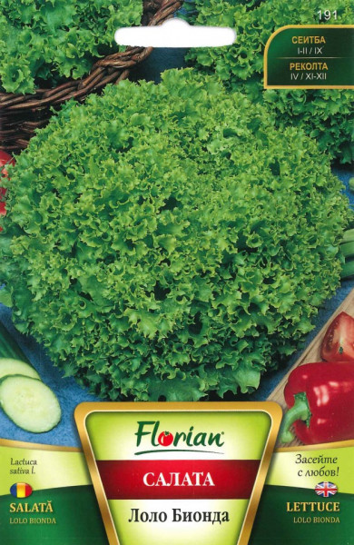 Salata LOLLO BIONDA - 2 gr - Seminte Salata Soi Semitimpuriu de la Florian