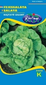 Seminte salata Hajtato Gigant (2 gr), salata capatana, Kertimag