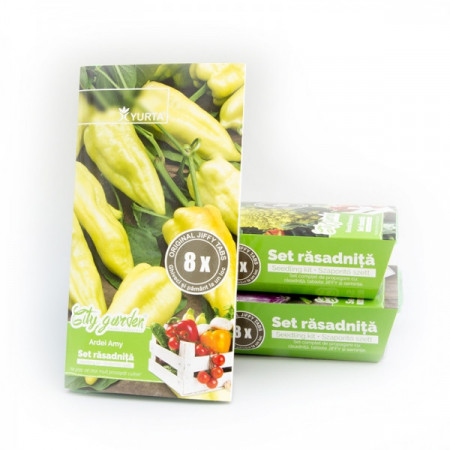 Set rasadnita medie - Ardei Amy, Colectia City Garden