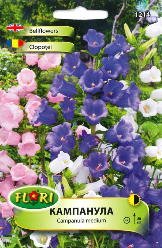 Clopotei - Seminte Flori Clopotei de la Florian