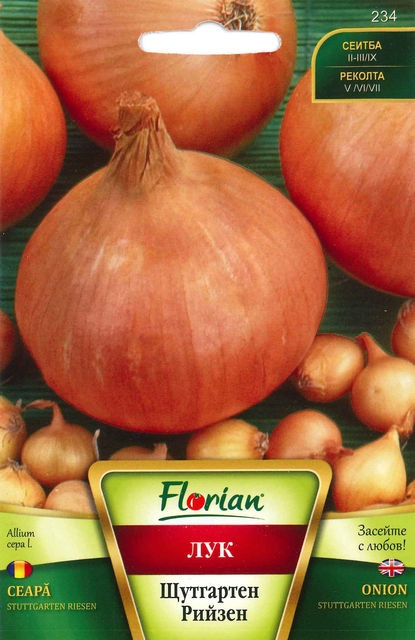 Ceapa Stuttgarten (100 gr) seminte de ceapa soi semitimpuriu, Florian
