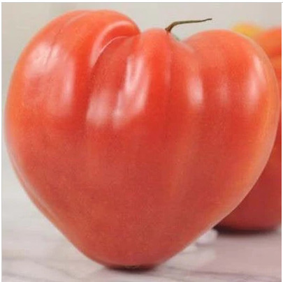 Tomate roz Herodes (150 seminte) rosii in forma de inima tip inima de ...