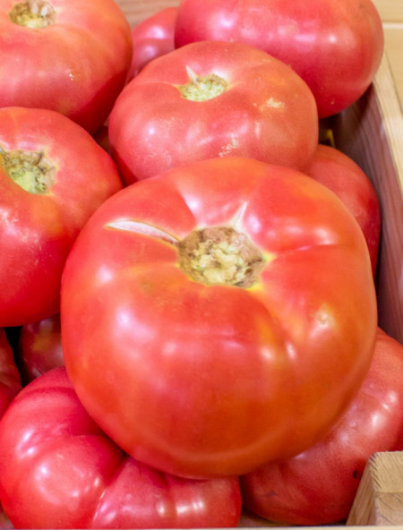 Rosii roz Pink Hall (50 seminte) tomate mari de culoare roze tip grasa beef