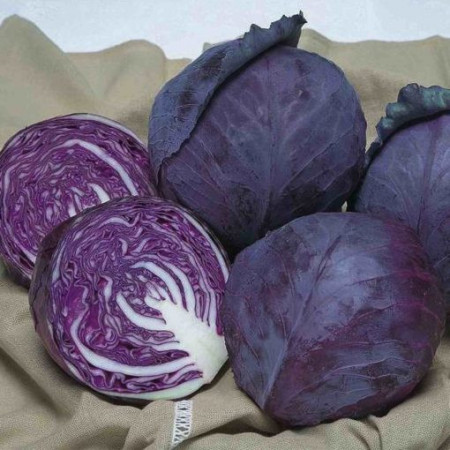 Ruby Perfection F1 (500 seminte) varza rosie rotunda rezistenta la boli ...