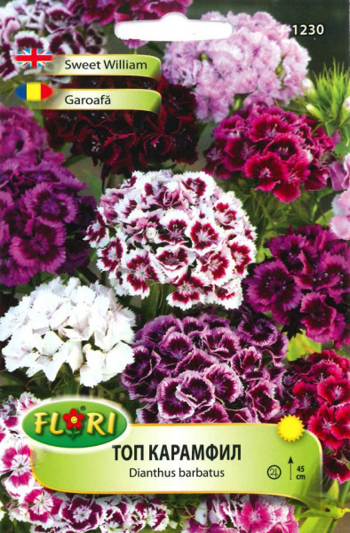 Garoafa Top Mix - Seminte Flori Garoafa Top Mix de la Florian