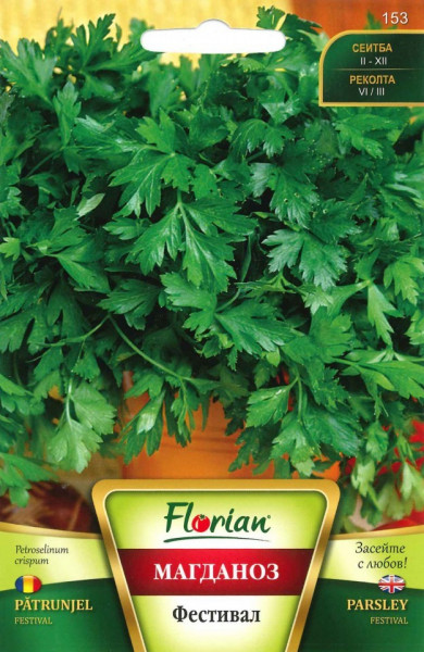 Patrunjel Festival - 10 gr - Seminte Patrunjel Frunze Mari Aroma Puternica