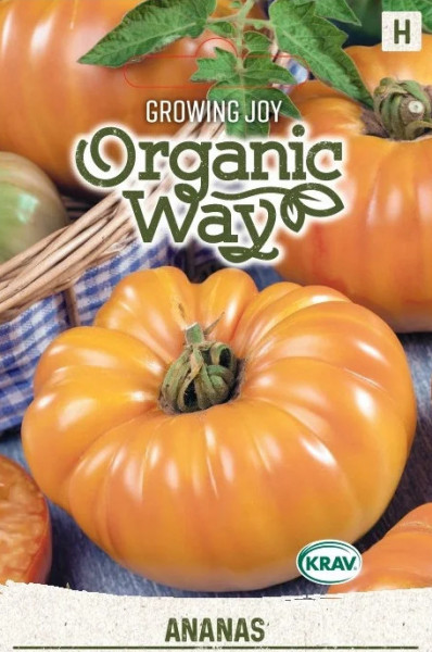 Ananas BIO (8 seminte) rosii bio eco de culoare portocalie ...