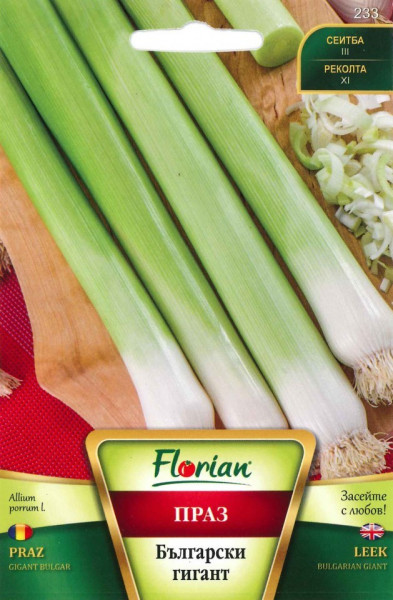 Praz GIGANT BULGAR - 50 gr - Seminte de Praz Florian Bulgaria Soi tardiv