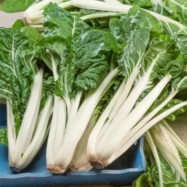 White Silver 2 BIO (120 seminte) mangold tulpini albe, frunze verzi ...