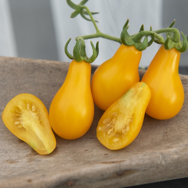 Yellow Pearshaped Snack (150 seminte) rosii timpurii galbene cu fructe ...