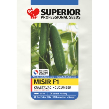 Misir F1 (1 gr) seminte castraveti semi-lungi de salata, hibrid foarte ...