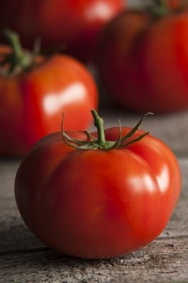 Rila F1 (100 seminte) rosii cu crestere nedeterminata semitimpurii ...