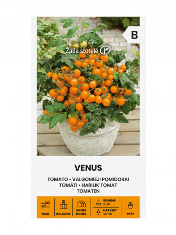 Venus (30 seminte) rosii cherry portocalii, determinate, Seklos