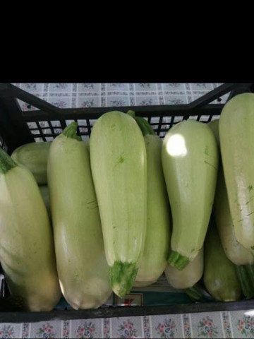 Dovlecel Radu (7.000 seminte) seminte dovlecei, verde deschis, miez ...