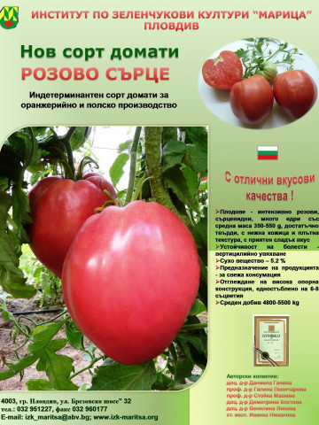 Inima Roz (150 seminte) rosii mari bulgaresti in forma de inima, IZK ...