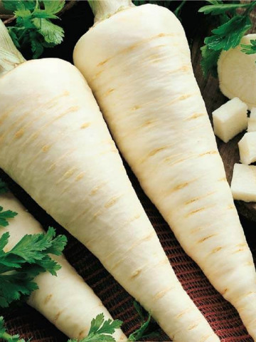 Patrunjel radacina Alba (4 gr) seminte de patrunjel cu radacina foarte ...