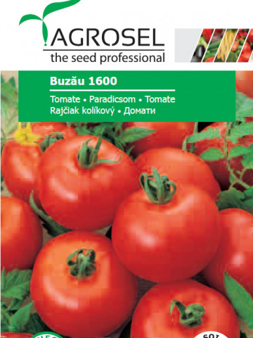 Buzau 1600 (300 seminte) rosii, semitardiv, Agrosel