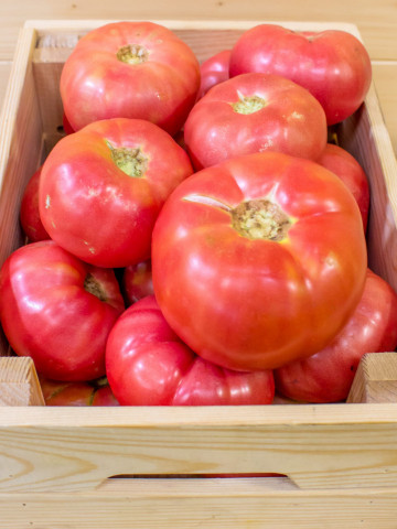 Rosii roz Pink Hall (50 seminte) tomate mari de culoare roze tip grasa beef