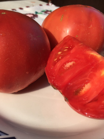 Rozamax Tomate Roz (0.3 gr), Seminte de Rosii Gigant roze Rozamax de la ...