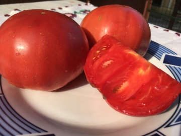 Rozamax Tomate Roz (90 seminte) rosii gigant roz, soi semitimpuriu ...