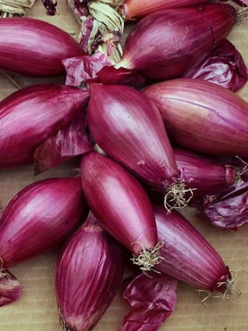 Ceapa lunga de apa - Seminte1