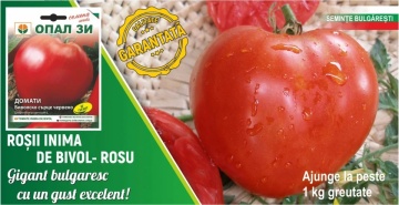 Gigant Inima de Bivol Rosu Bulgaresc (300 seminte) seminte de rosii ce ...