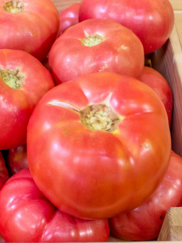 Rosii roz Pink Hall (50 seminte) tomate mari de culoare roze tip grasa beef