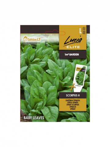 Scorpius F1 (3 gr) de seminte spanac tip Baby Leaves timpuriu frunze ...