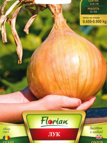 Ceapa Alisa Craig (1.5 gr) Seminte Ceapa Spaniola cu Capatana Mare pana ...