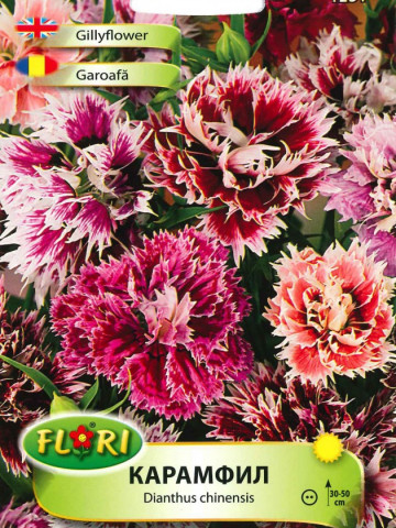 Garoafe Seminte Flori, Florian - Seminte1