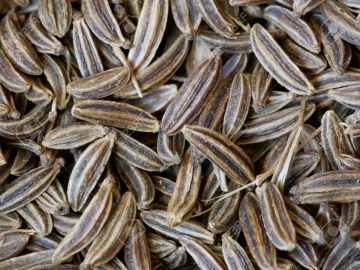 Chimion Medicinal (1 gr) seminte plante medicinale si aromatice chimion ...