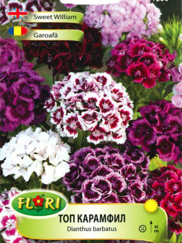 Garoafe Seminte Flori, Florian - Seminte1