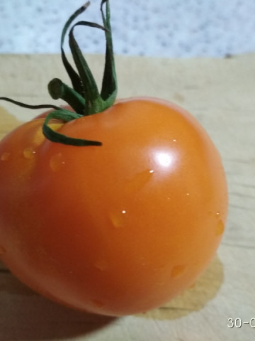 Kelloggs Breakfast (60 seminte) rosii portocalii de culoarea mandarinei ...