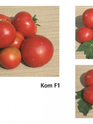 KOM F1 - 1 gr - Seminte de Rosii Bulgaresti Profesionale pentru Cultura ...