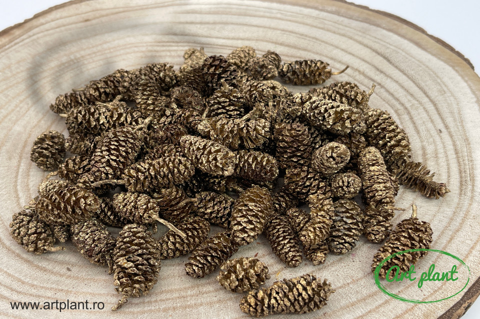 Conuri de mesteacan mici gold