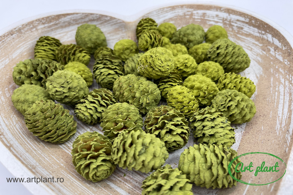 Conuri meridianum verde