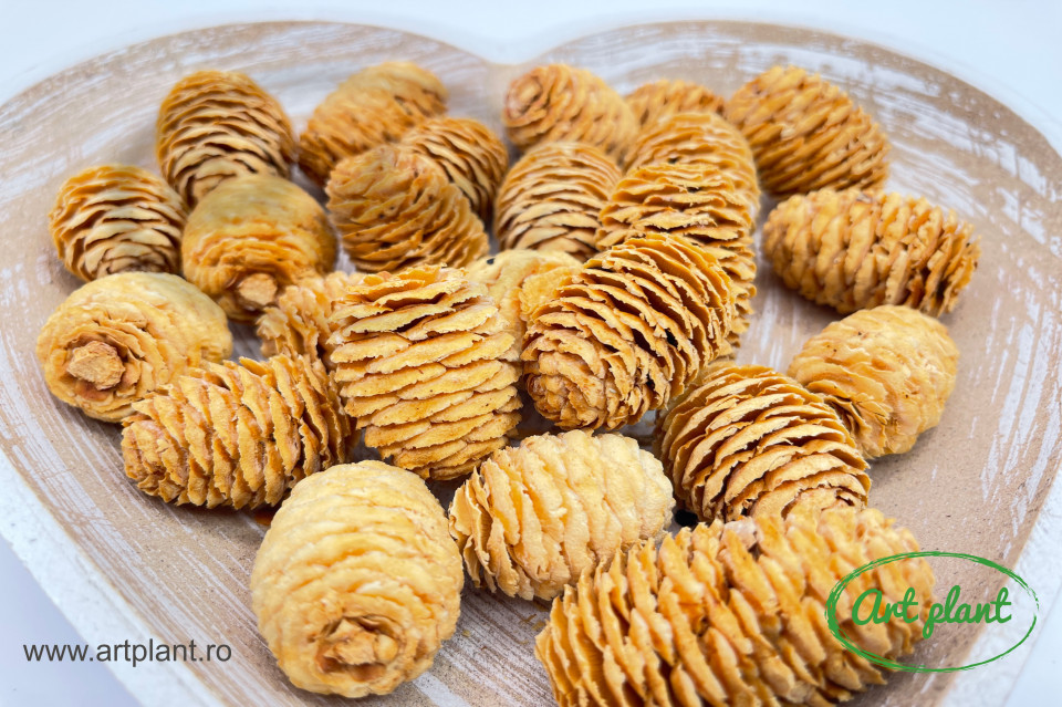 Conuri sabulosum cream