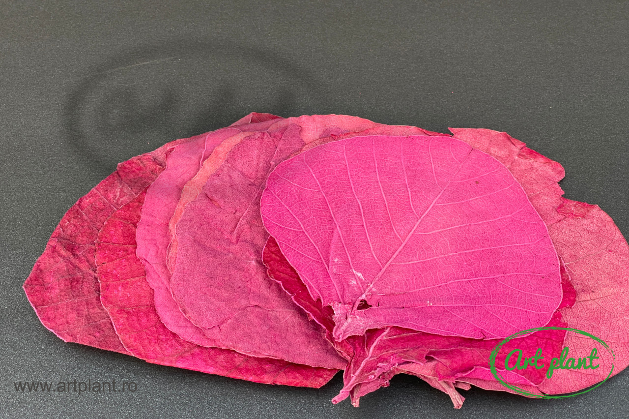 Frunze Cobra Roz Inchis