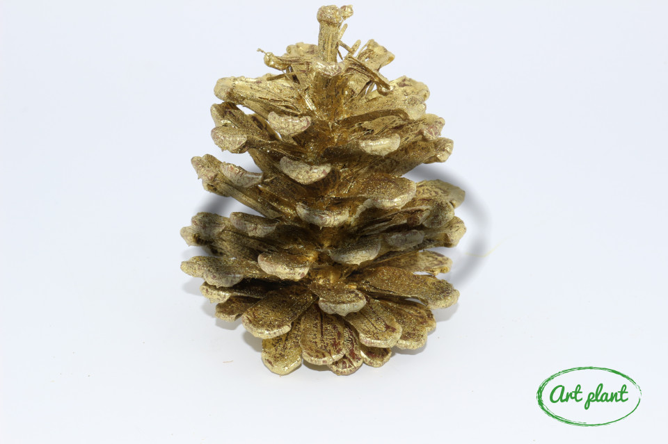 Conuri de pin auriu sidefat