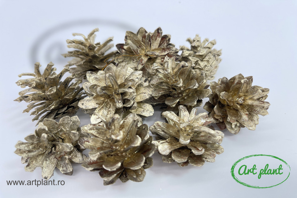 Conuri de brad champagne