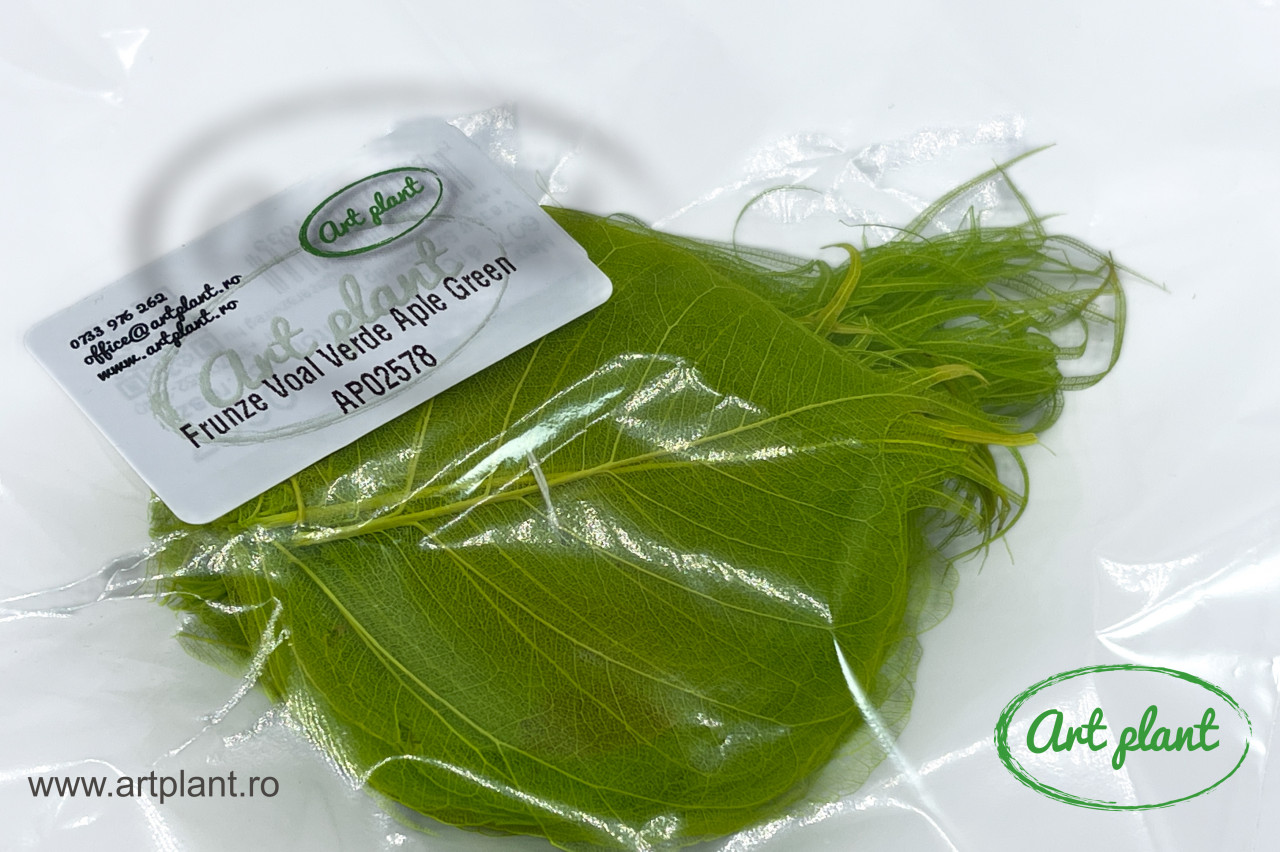 Frunze Voal Verde Aple Green